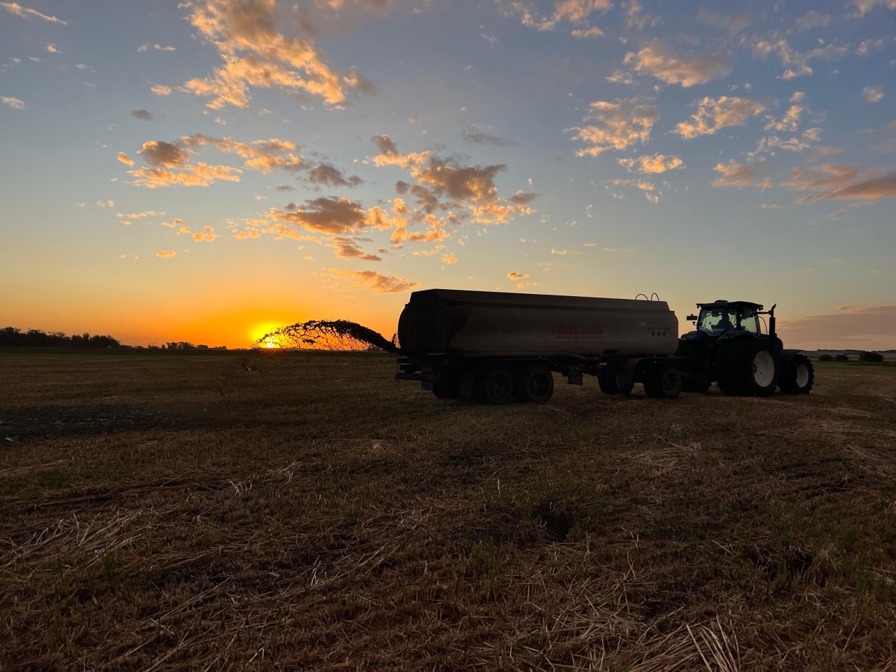Uso agronómico de purines en granjas porcinas - Grupos digitales